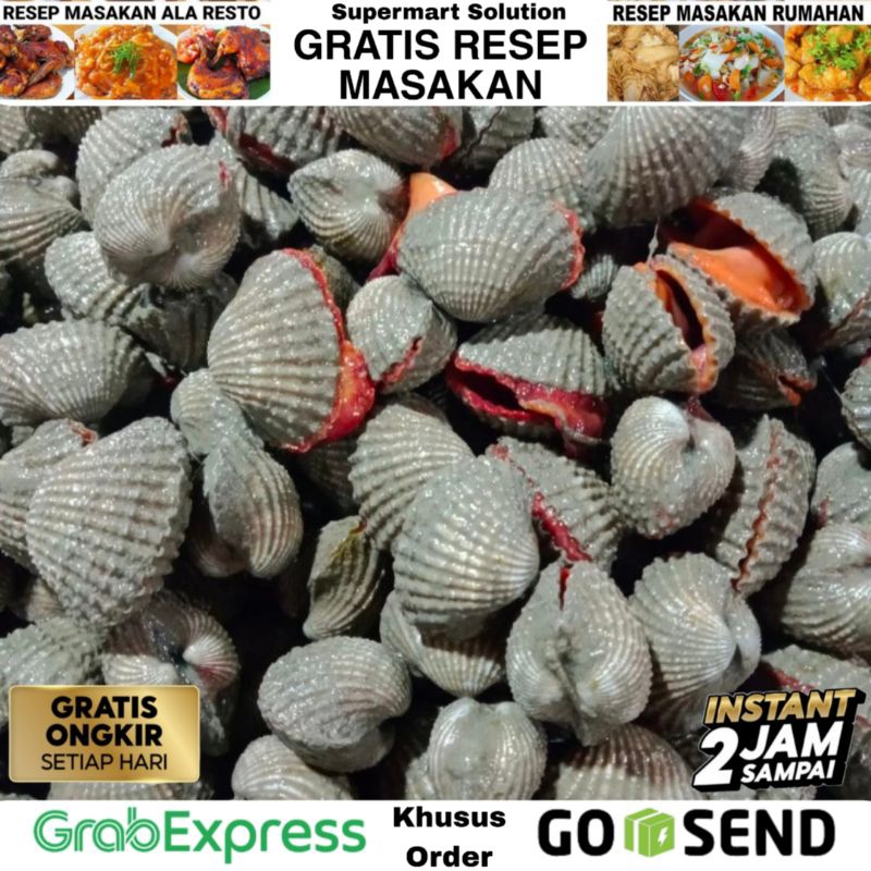 Jual Kerang Dara Seafood | Shopee Indonesia