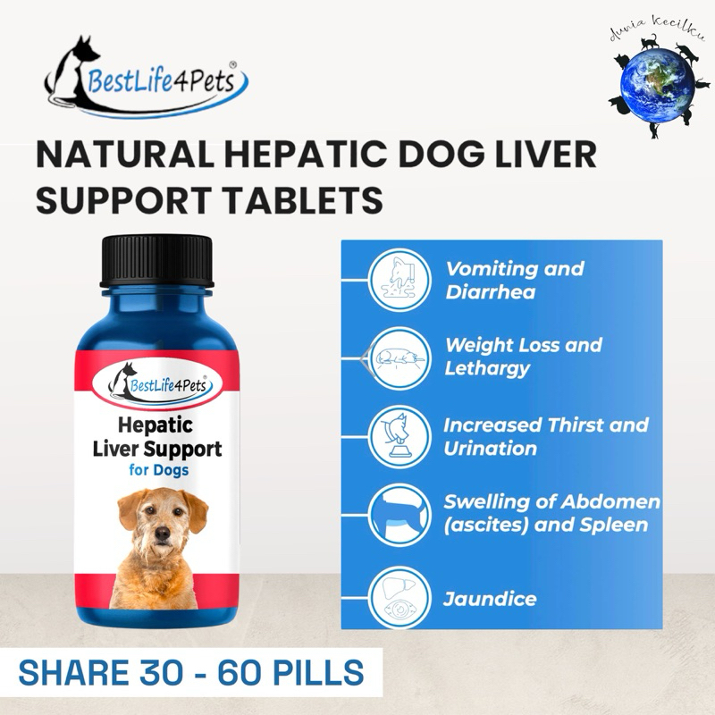 Jual Bestlife For Pets Hepatic Dog Liver Support Tablet (SHARE 30 & 60 ...