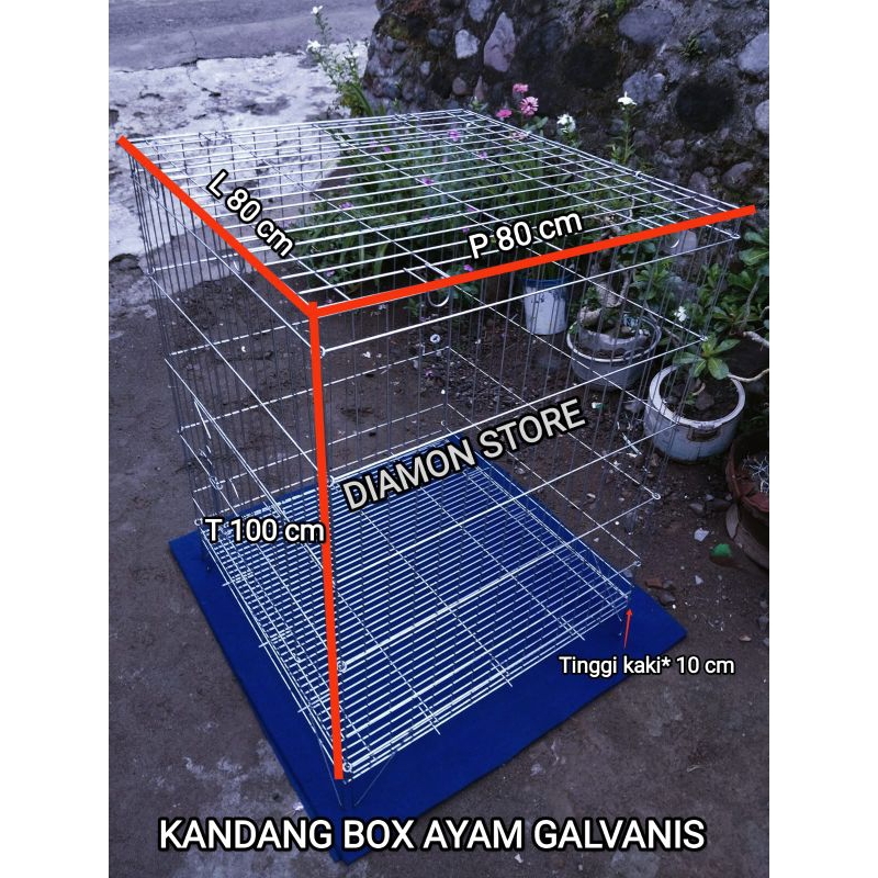 Jual KANDANG BOX AYAM GALVANIS P80cmxL80cmxT100cm | Shopee Indonesia