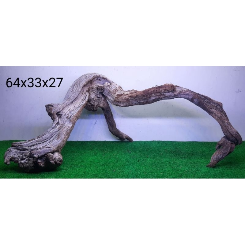 Jual Kayu Santigi Laut - Kayu Tenggelam - Aquascape - Channa - 64x33x27 ...