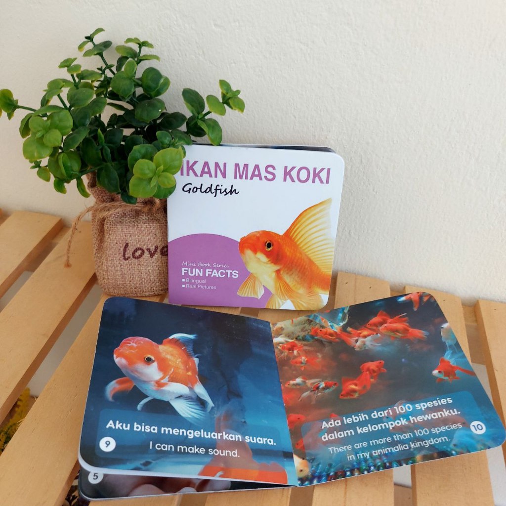 Jual SK MINI BOOK FUN FACT - Buku Pengenalan Pengetahuan Anak Bayi ...