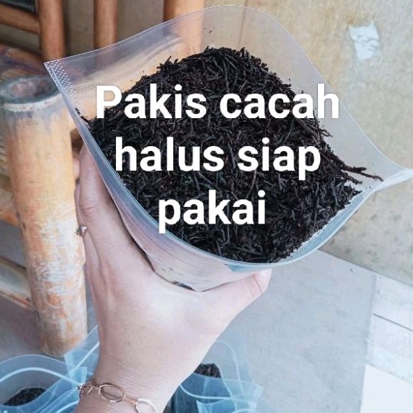 Jual media tanam pakis cacah murni 2kg | Shopee Indonesia