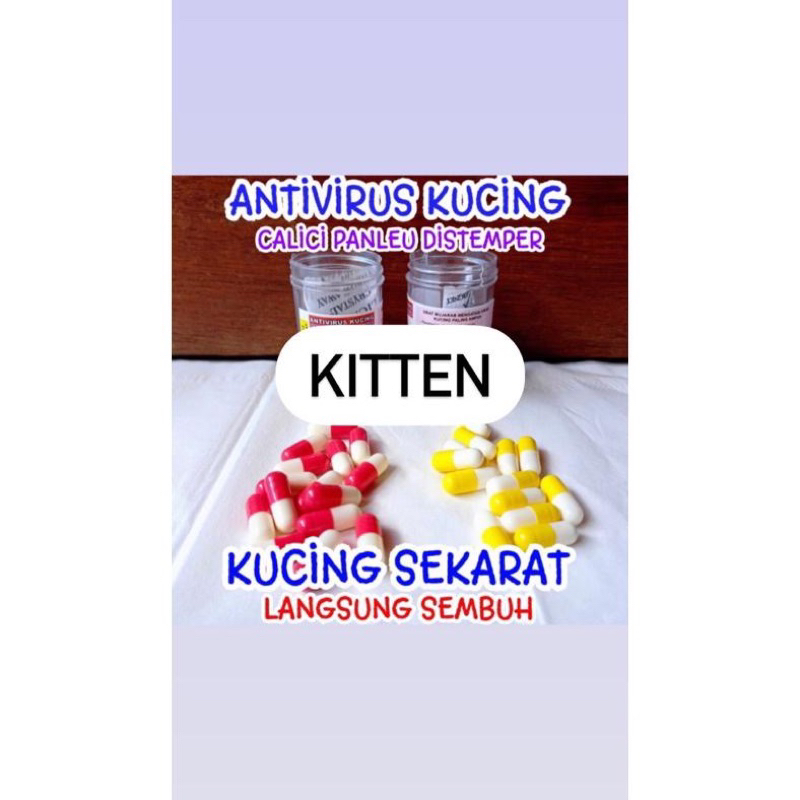 Jual KAPSUL AJAIB - Obat Virus Kucing Calici Panleukopenia Distemper ...