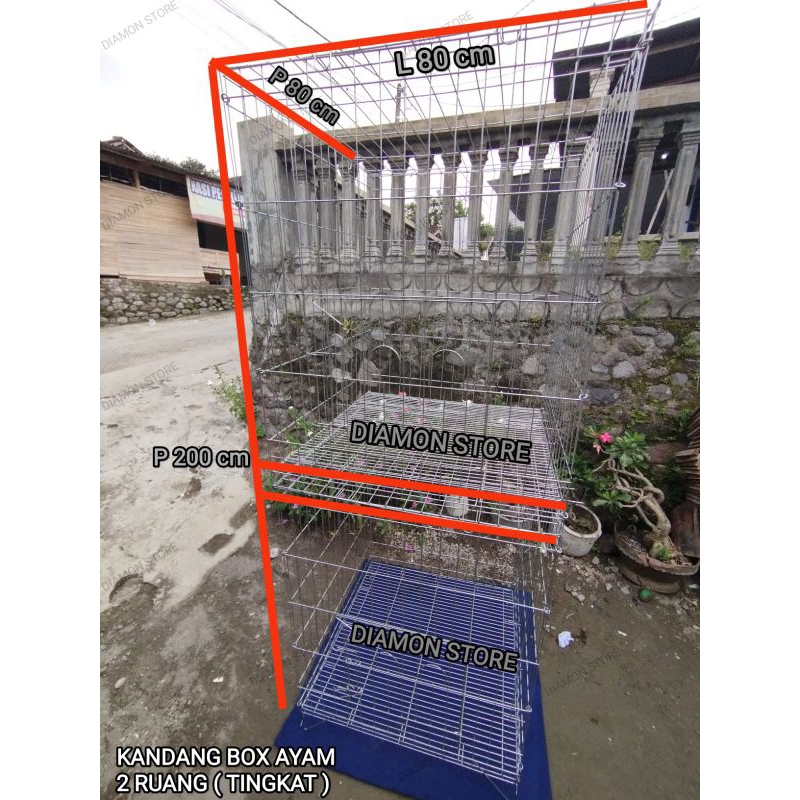 Jual Harga Ayam Ekor Lidi Terlengkap & Harga Terbaru Juni 2026 | Shopee ...