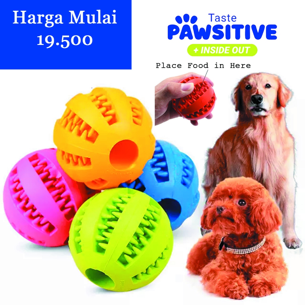 Jual Mainan Kucing Mainan Anjing Pembersih Gigi Bola Karet Dog Chew ...