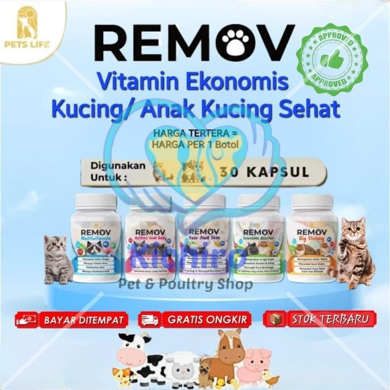 Jual Remov Vitamin Botol isi 30 Kapsul Macam - Macam Vitamin ...