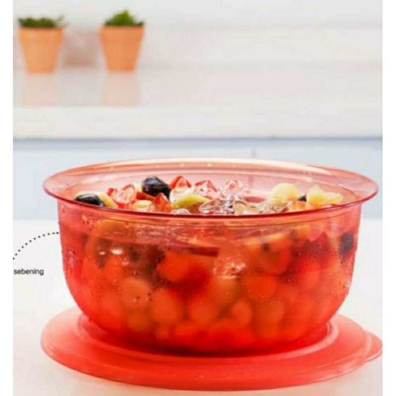 Jual Table Collection 2L (1pcs) | Shopee Indonesia