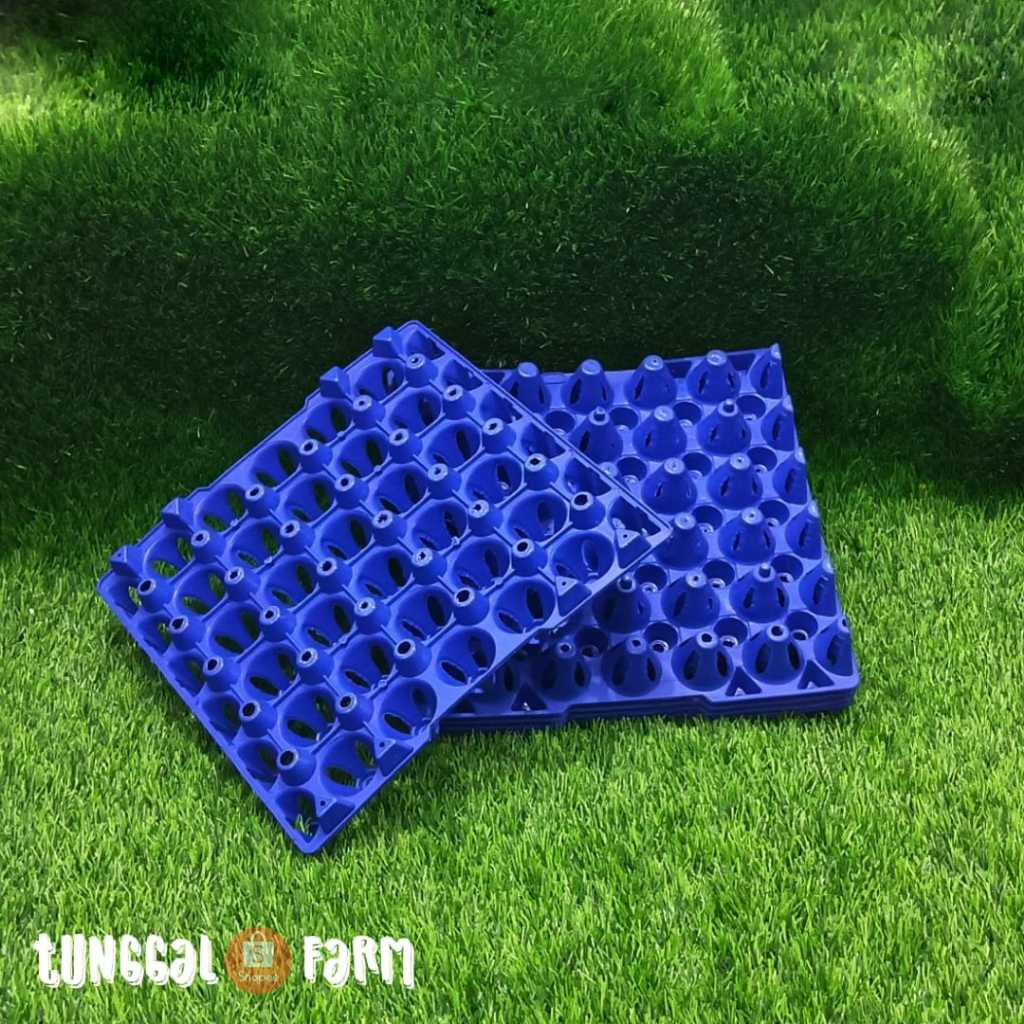 Jual PAKET 50 BIJI /EGGTRAY PLASTIK BIRU/ EGG TRAY / TEMPAT TELUR/WADAH ...