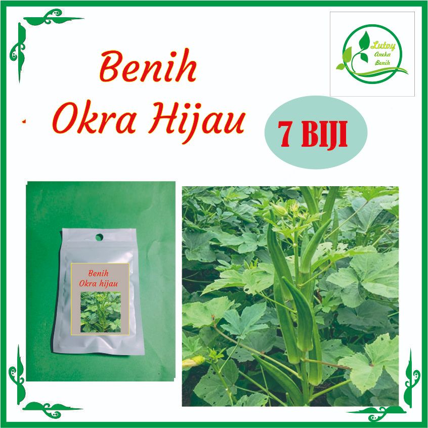 Jual BENIH OKRA HIJAU ISI 7 BIJI | Shopee Indonesia