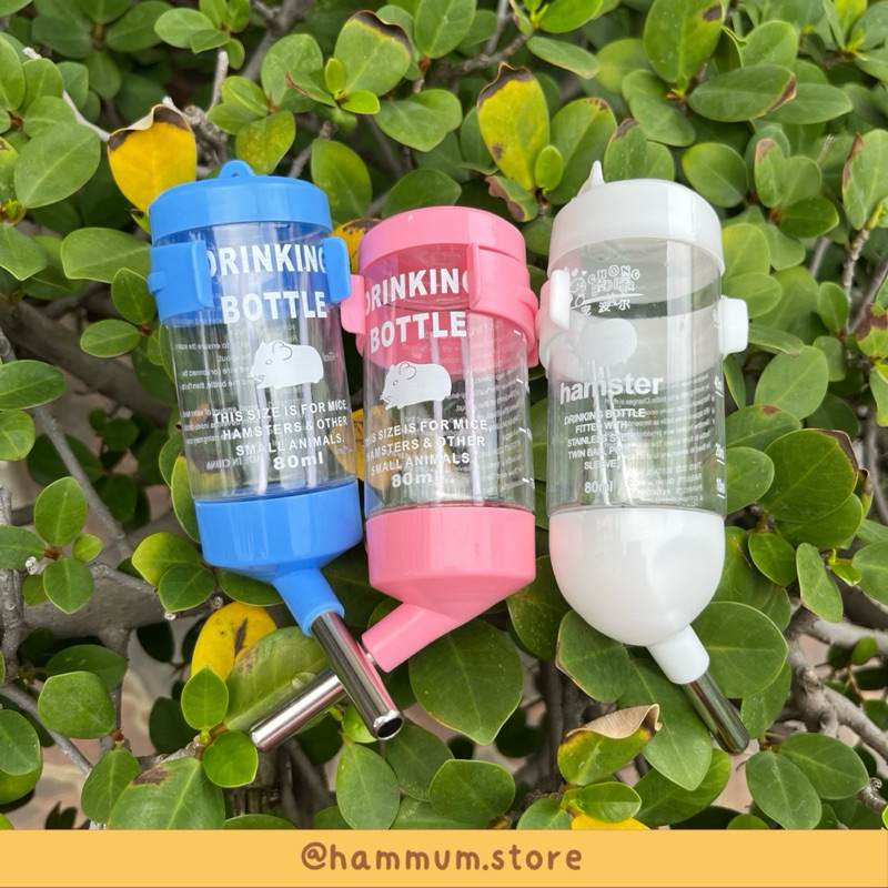 Jual Botol Minum Hamster Putih Pastel 80ml | Water Bowl Hewan ...