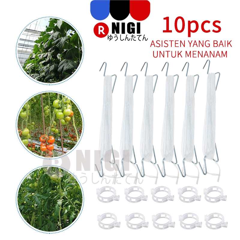 Jual NIGI 10pcs Alat kait taman kait/tomat tali kait/tomat alat tumbuh ...