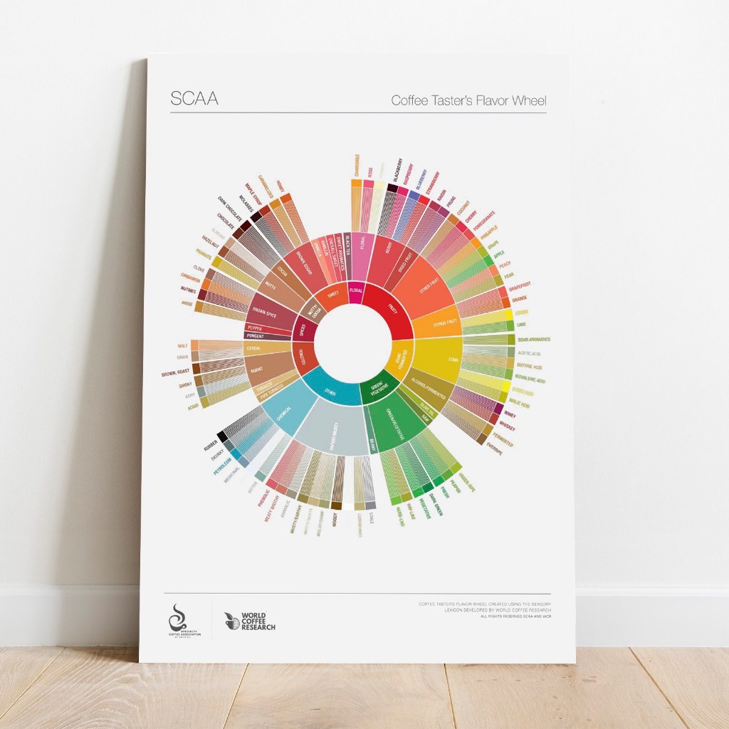 Jual Poster Coffee Taster Flavor Wheel Roda Rasa Pencicip Kopi Dekorasi ...