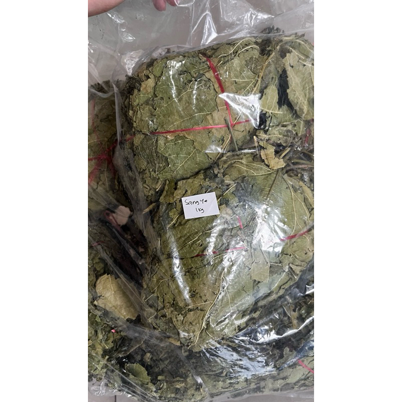 Jual SANG YE IKAT FOLIUM MORI MULBERRY LEAF LEAVES 100gr - 500gr ...