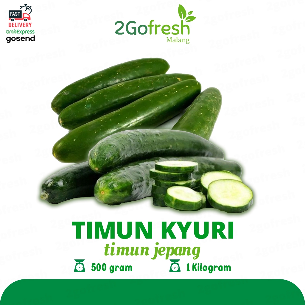 Jual Timun Kyuri / Timun Jepang / Kyuri Japanese Cucumber Fresh - Sayur ...