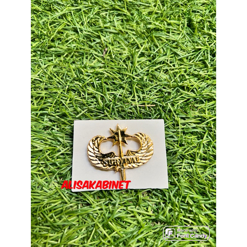 Jual Brivet Exclusive Tanpa Braso PDH TNI AD | Shopee Indonesia