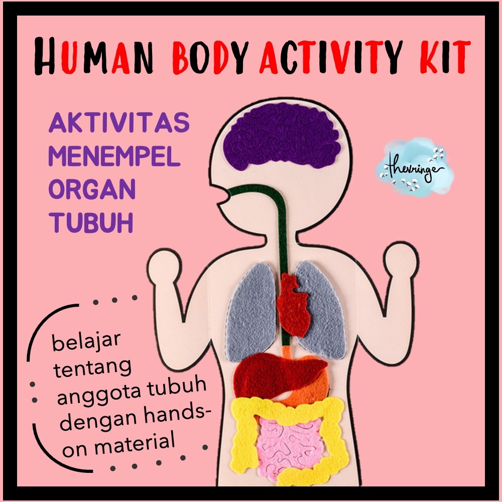 Jual Human Body Activity Kit Aktivitas Menempel Organ Tubuh Mainan Anak | Shopee Indonesia
