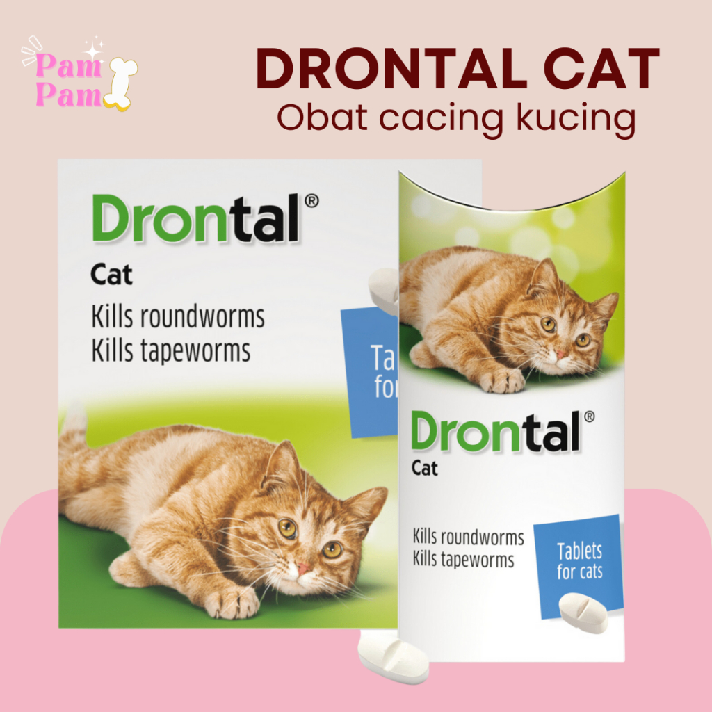 Jual DRONTAL CAT Asli Original Obat Cacing Kucing Anak Kitten Ampuh ...