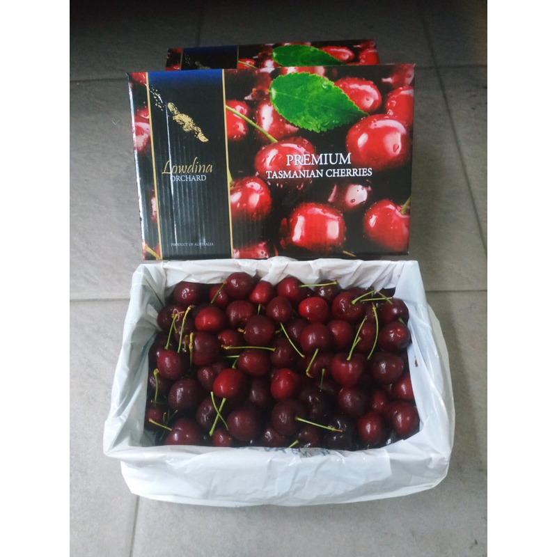 Jual Cherry Ceri Australia 1 Dus (2 KG) Fresh Import | Shopee Indonesia
