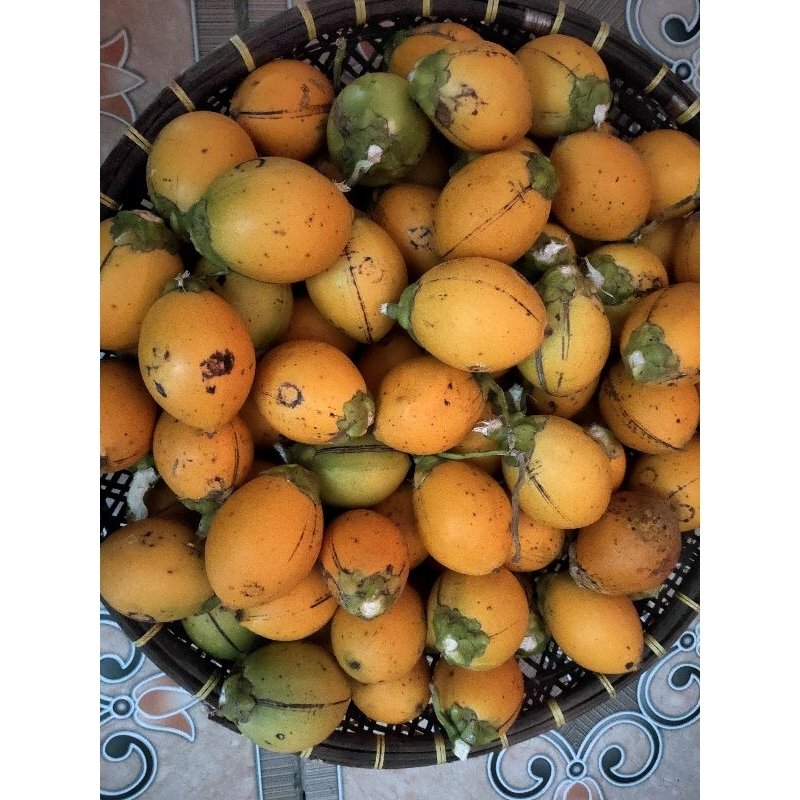 Jual Buah pinang buah Jambe pinang Batara pinang wangi pinang tua segar ...