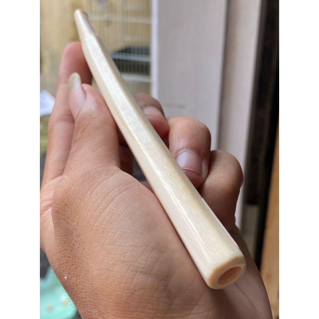 Jual once pipa asli gg lokal panjang 15cm segilapan lengkung rata ...