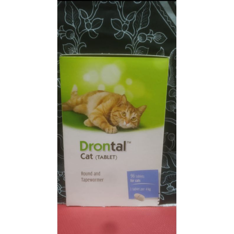 Jual EXP 2026! DRONTAL CAT Obat Cacing Kucing Dewasa Kitten 1 Box Isi ...