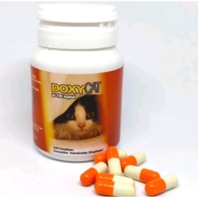Jual DOXY CAT OBAT HEWAN UNTUK HARGA ECER SATUAN PER 1 PCS | Shopee ...