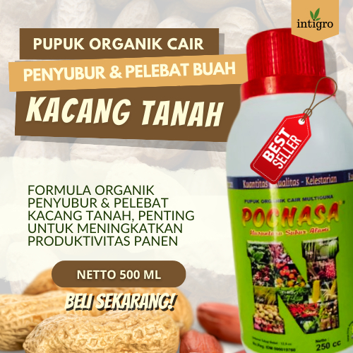 Jual Pupuk Cair Semprot Pelebat Buah Kacang Tanah Pupuk Organik Penyubur dan Mempercepat ...