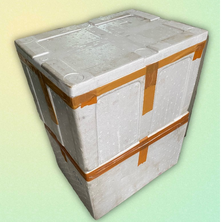 Jual Box Sterofoam Kotak Foam Cooler Box / Box Makanan Frozen / Box Es ...