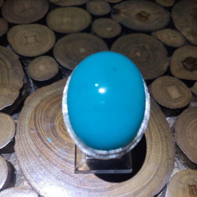 Jual Bacan Doko majiko | Shopee Indonesia