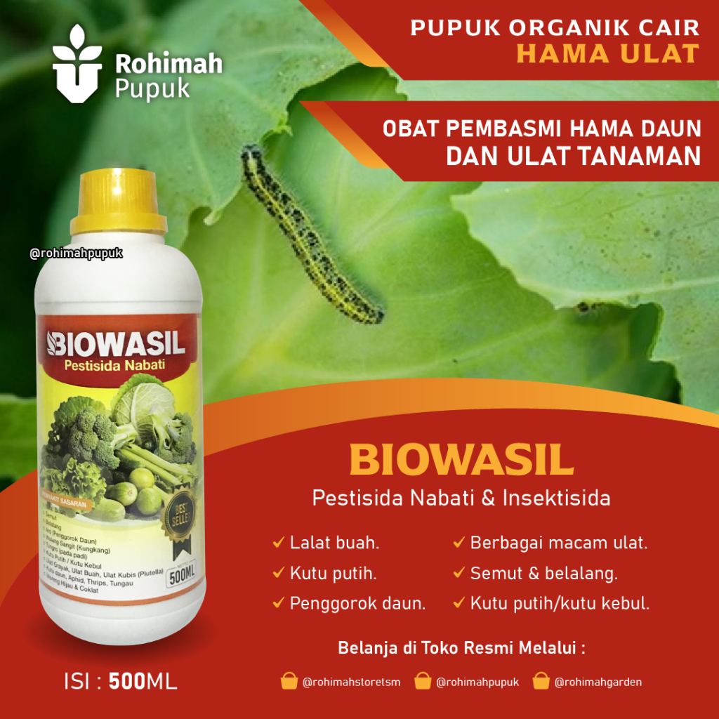 Jual BIOWASIL Obat Hama Ulat Daun Buah Kubis Crop Ampuh - Pestisida Nabati Obat Ulat Daun Pada ...