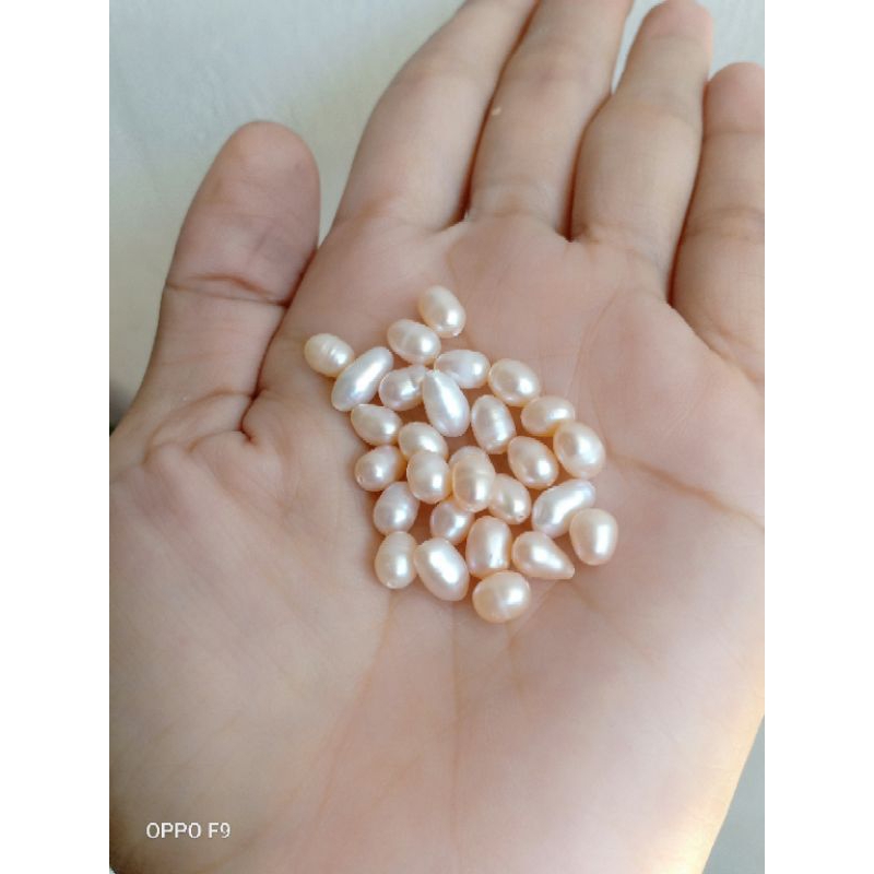 Jual butiran mutiara tawar asli lombok | Shopee Indonesia