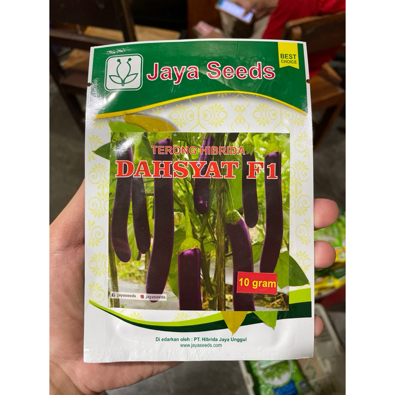 Jual Benih Terong Ungu Jaya Seeds DAHSYAT F1 | Shopee Indonesia
