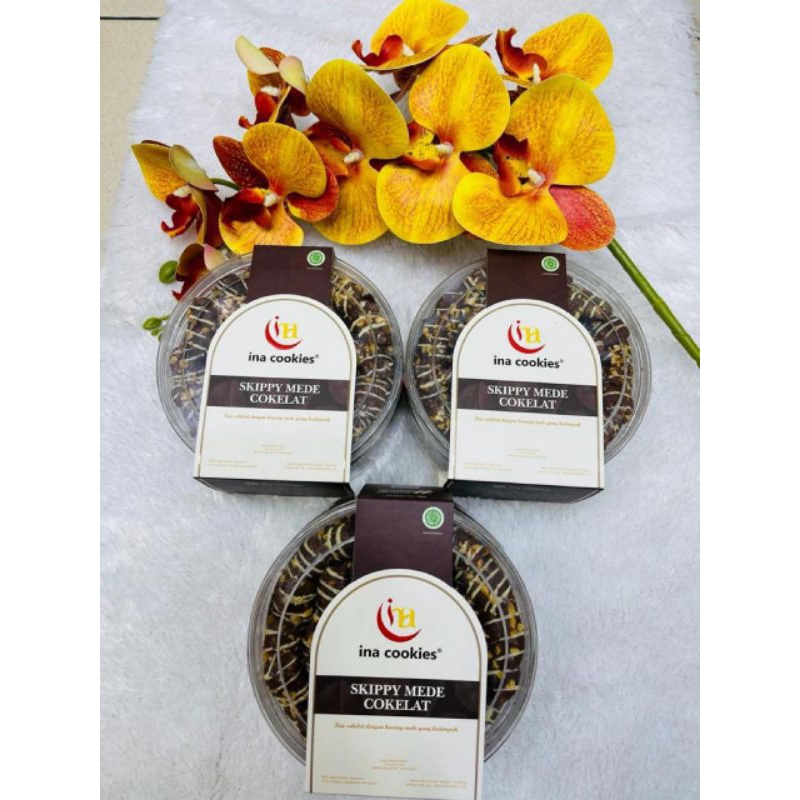 Jual Ina cookies kue kering Premium Varian Coklat Reguler 500 gram ...