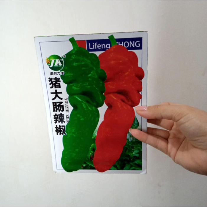 Jual BENIH CABE ZINJIANG CABAI SUPER JUMBO ASLI KEMASAN PABRIK ISI ...