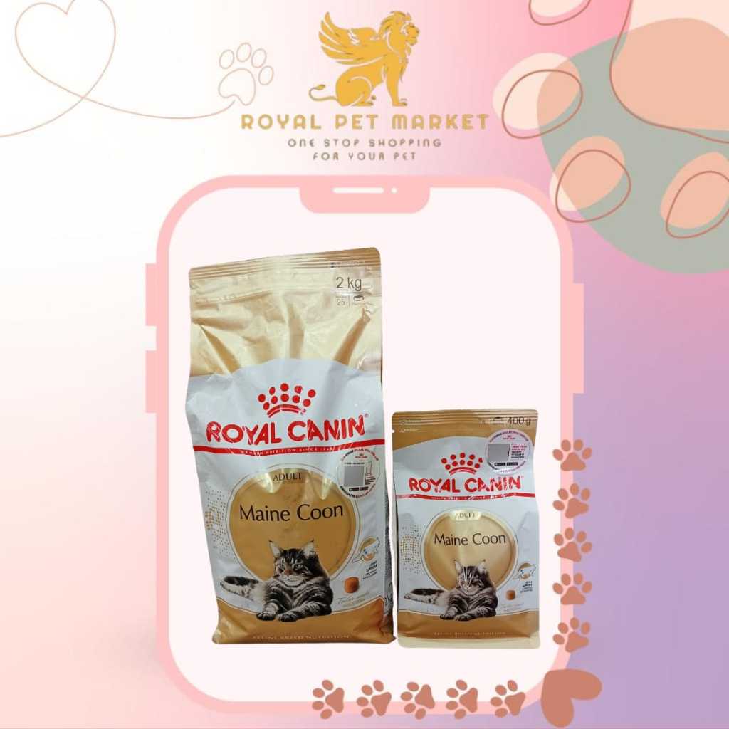 Jual Royal Canin Maine Coon Adult 2 kg | Shopee Indonesia