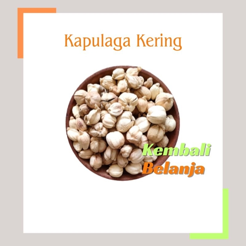 Jual Kapulaga 1 Kg/ Kapulaga Kering/ Kapol/ Kapulogo/ Kapulaga Jawa ...
