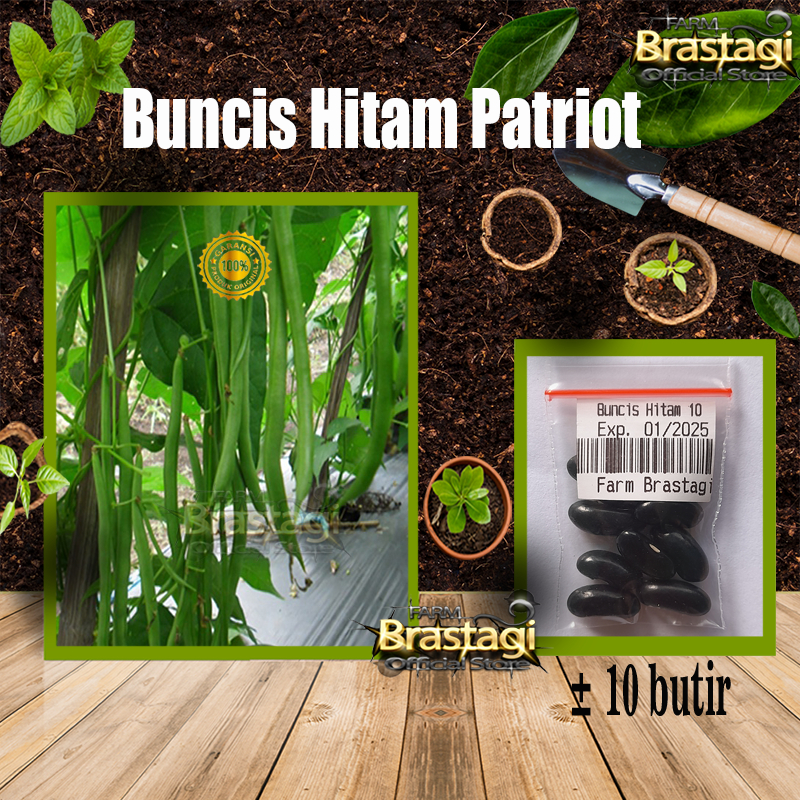 Jual FBTG - 10 Benih Bibit Buncis Hitam Unggul Varietas Patriot - Cap ...