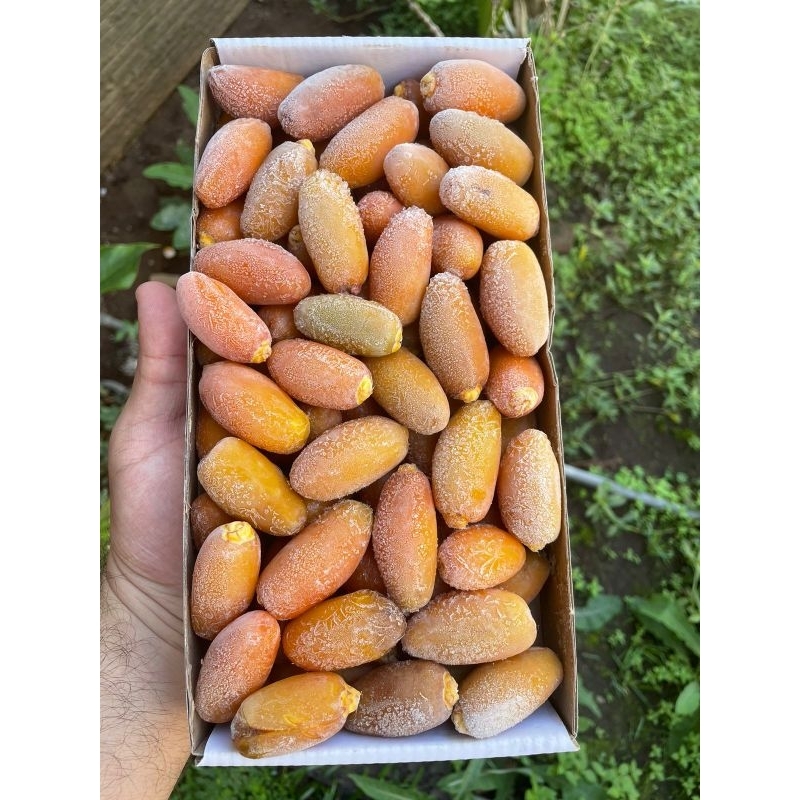 Jual kurma ruthob/muda | Shopee Indonesia