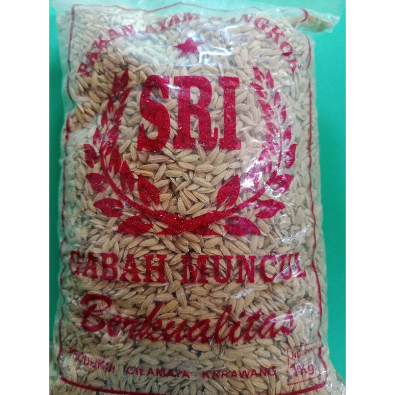 Jual GABAH MUNCUL BERKUALITAS 1 KG | Shopee Indonesia