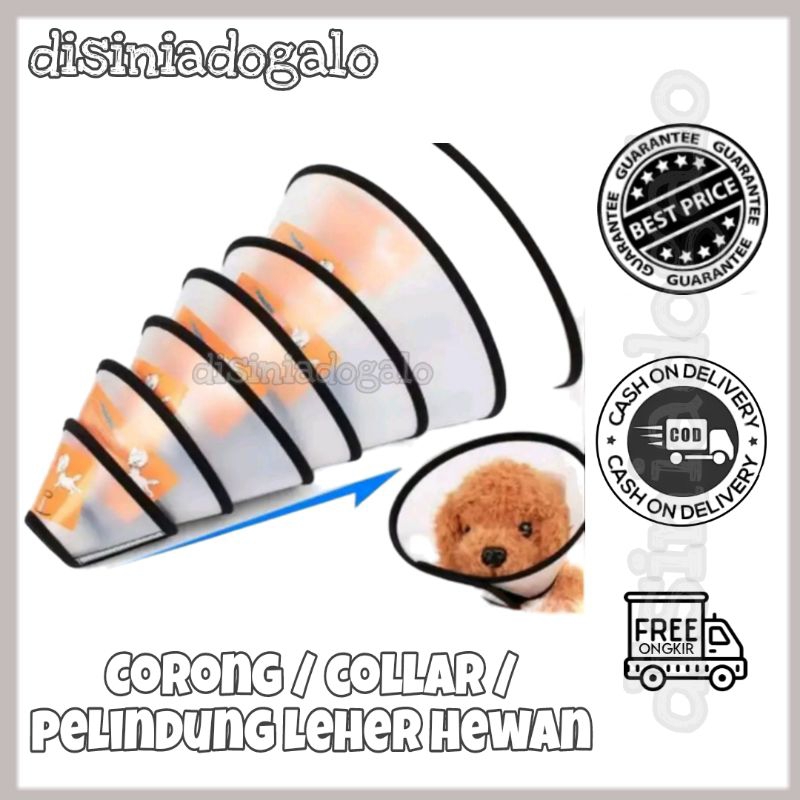 Jual Corong atau Collar Kucing | Shopee Indonesia