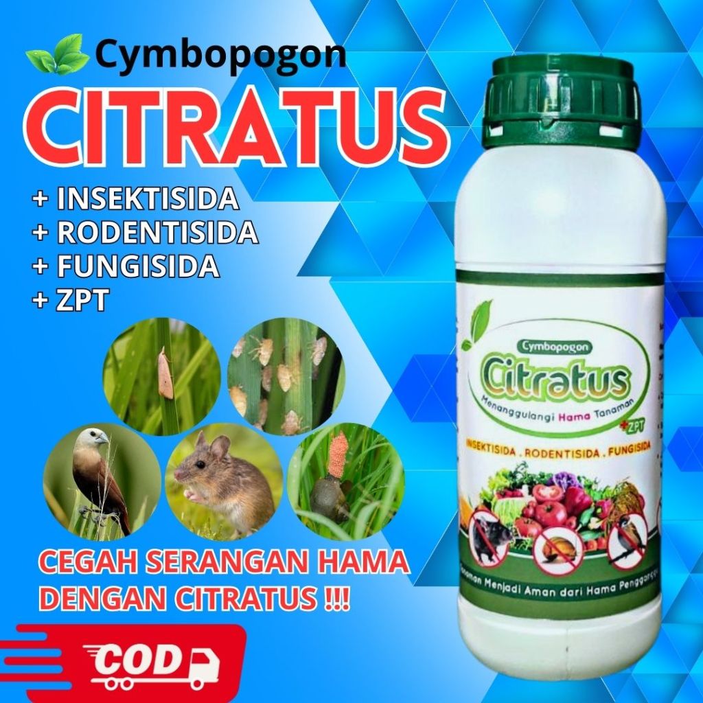 Jual Pestisida Organik CITRATUS Mencegah Hama Tikus, Wereng, Keong ...