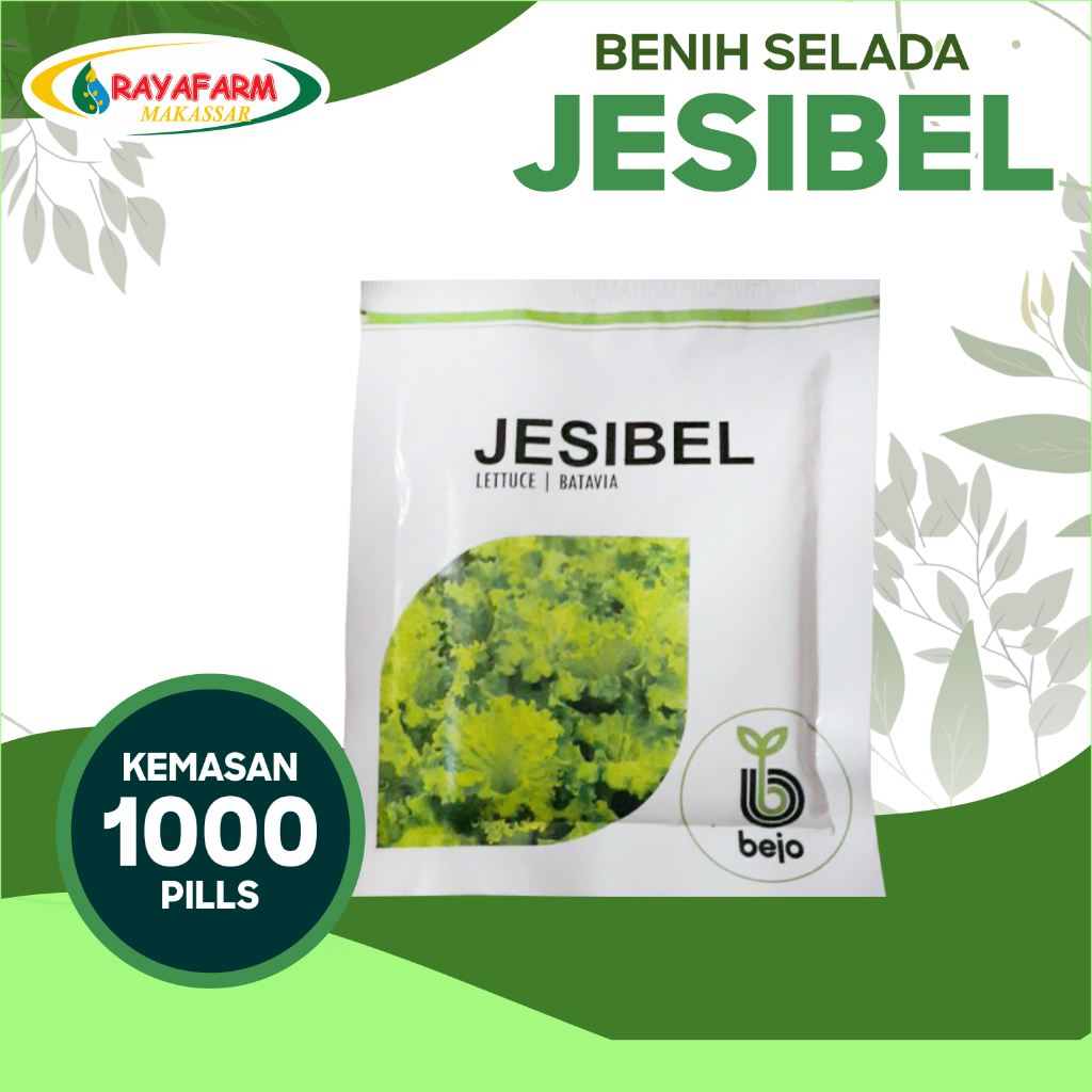 Jual BENIH SELADA JESIBEL 1000 PILL - BEJO SEED | Shopee Indonesia