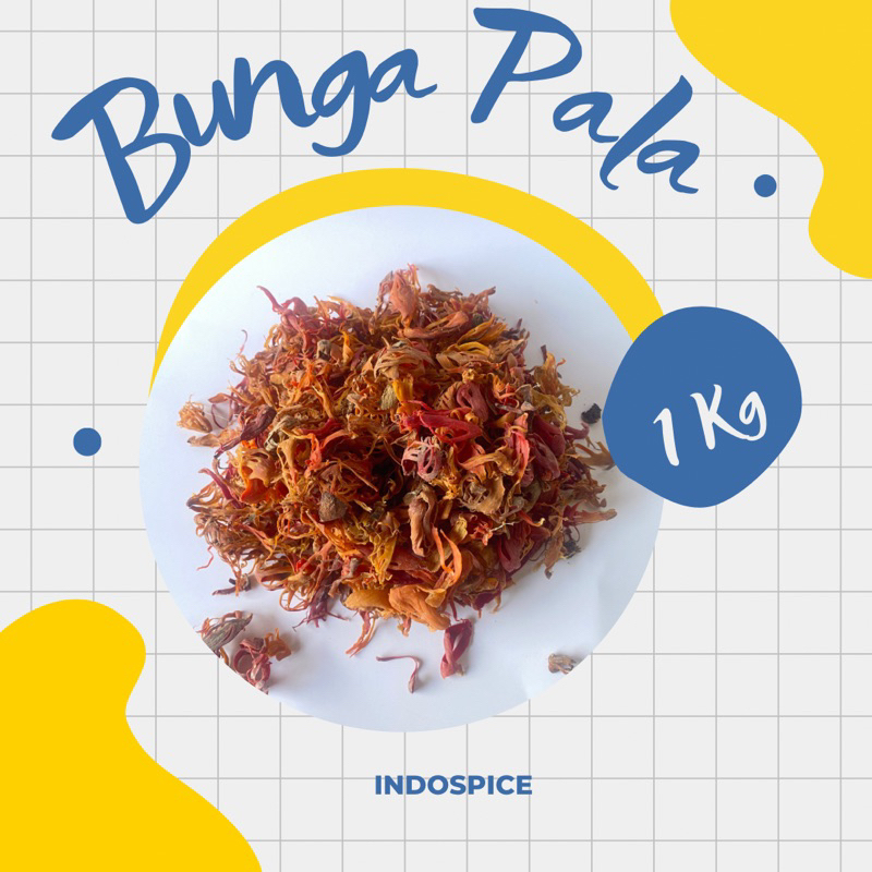 Jual Bunga Pala asli sumatra | Shopee Indonesia