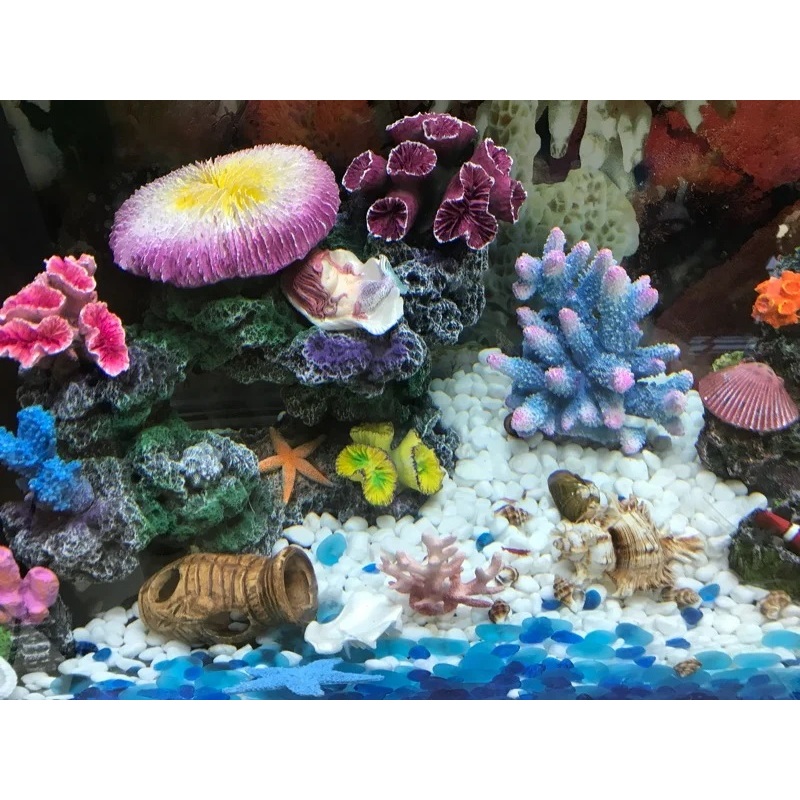 Jual Claw reef tank decoration, claw reef, dekorasi aquarium karang ...