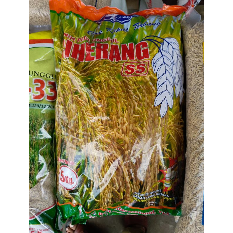 Jual Benih Padi Ciherang SS Kapal Terbang Label Ungu 5 Kg | Shopee Indonesia
