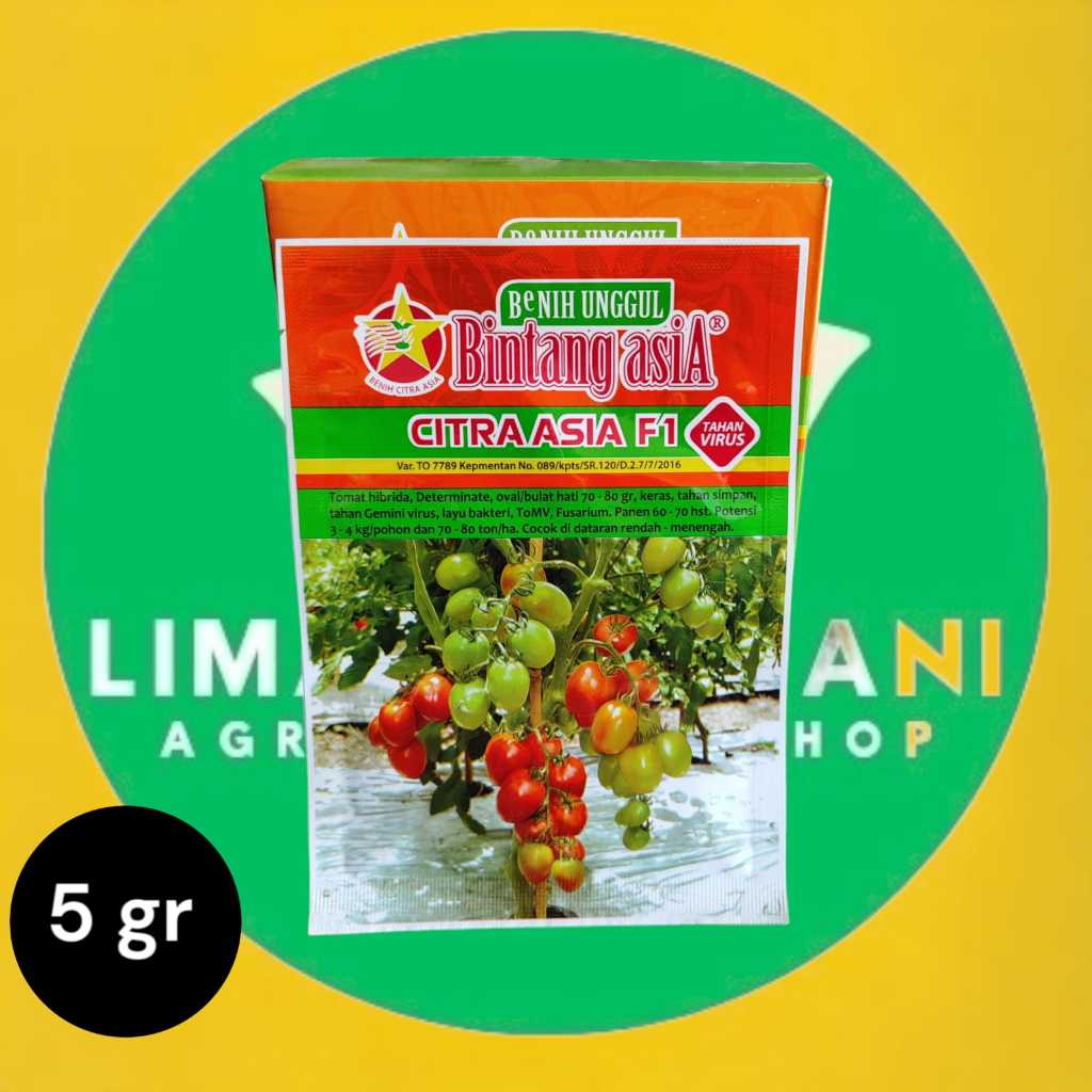 Jual Tomat Merek Bintang Asia CITRA ASIA F1 (5 gram) 100% ORI | Shopee ...