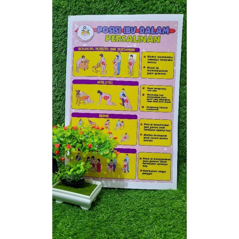 Jual Poster posisi ibu dalam persalinan | Shopee Indonesia Jual Poster posisi ibu dalam persalinan | Shopee Indonesia