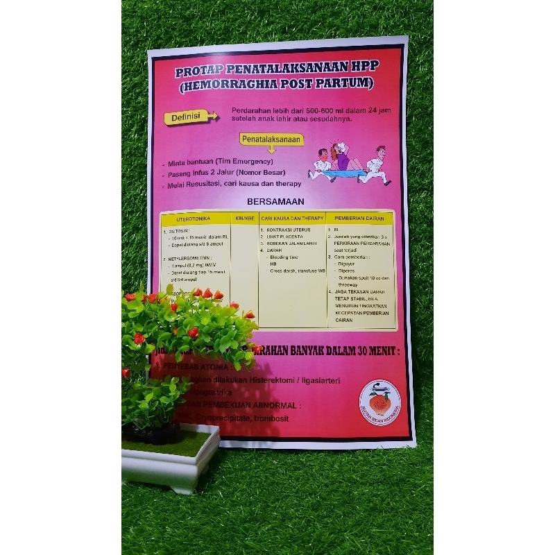Jual Poster penatalaksanaan HPP | Shopee Indonesia