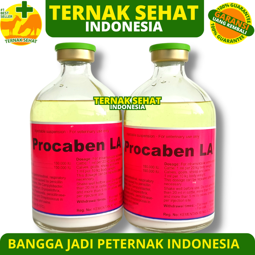 Jual PROCABEN LA pengganti Penstrep 400 Original | Shopee Indonesia