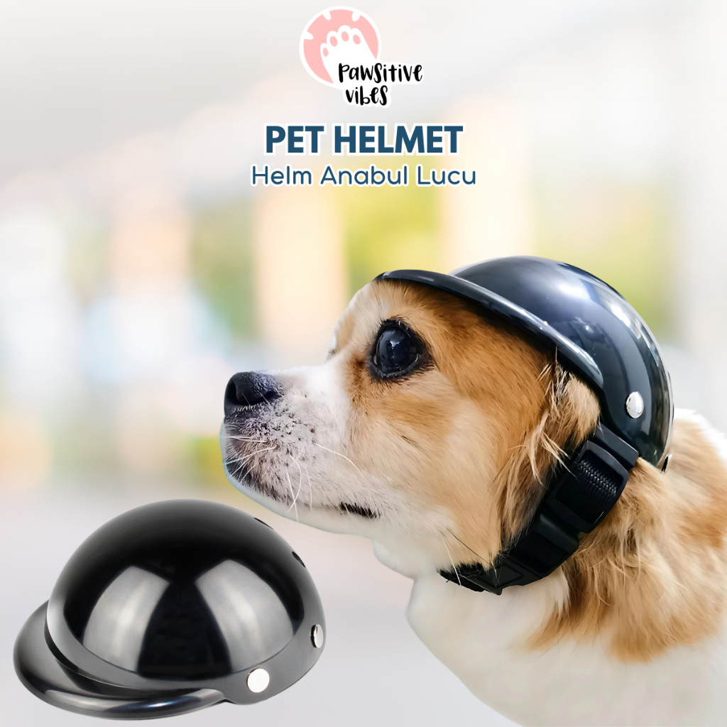 Jual Helm Anjing Kucing - Pet Helmet - Helm Hewan Peliharaan - Helm ...